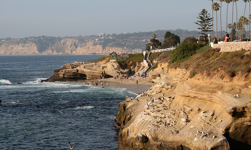 The Top 25 Free Things to Do In San Diego