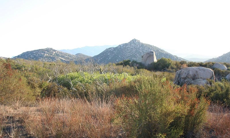 Neighborhood Spotlight: Jamul